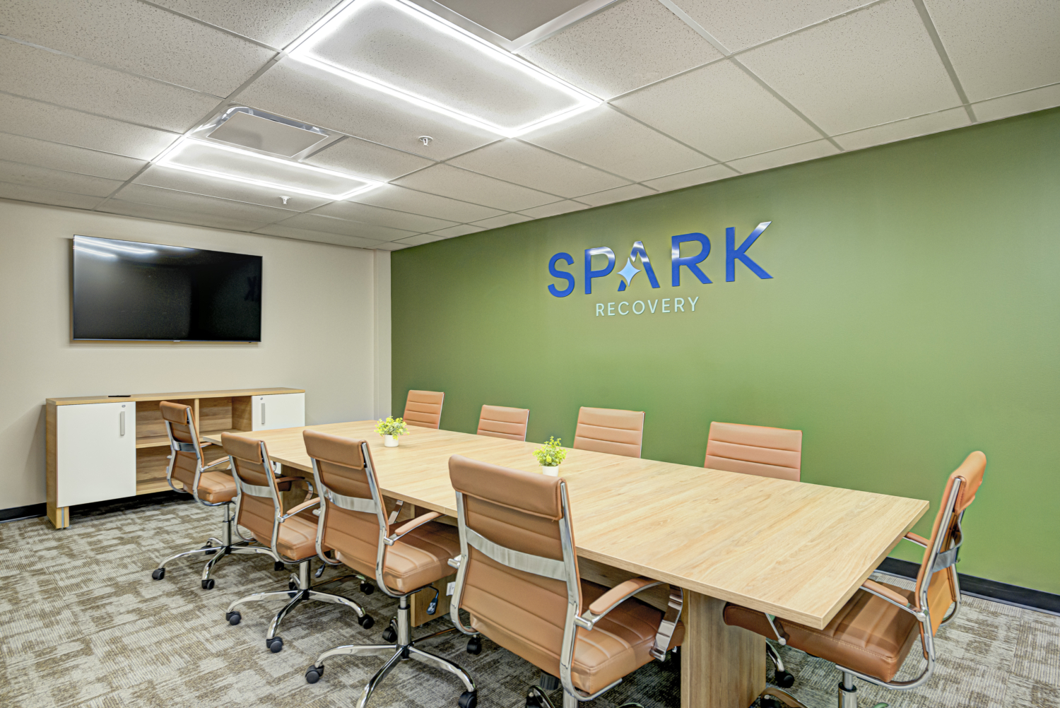 Spark Recovery - Stenz